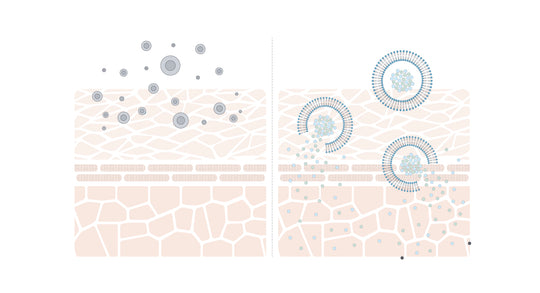 The Origins of Blue Lagoon – Blue Lagoon Skincare